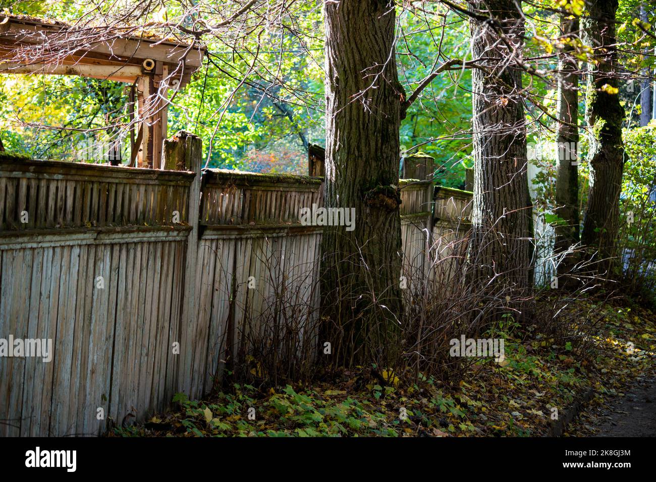 Tree growing around fence hi-res stock photography and images - Alamy