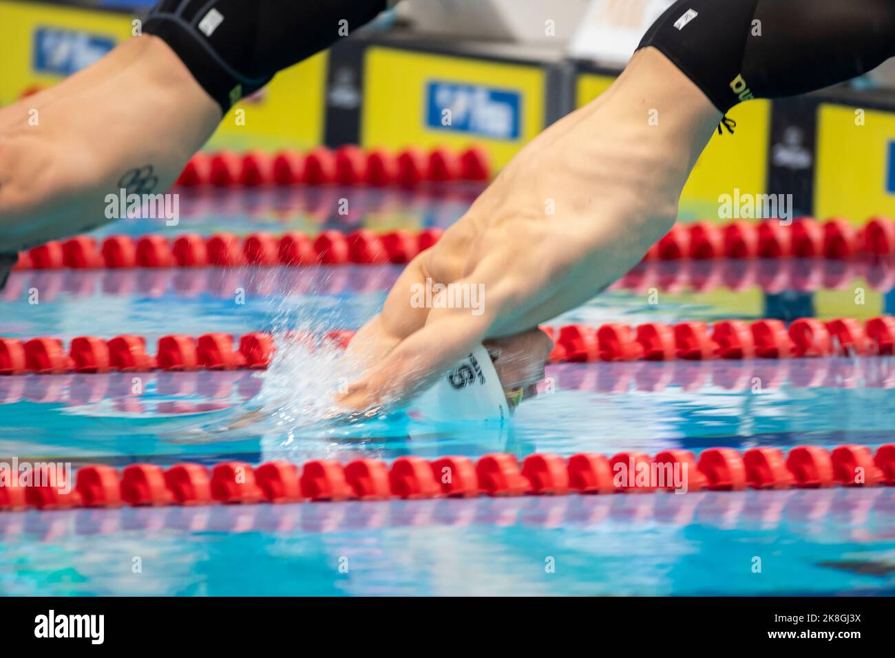 Berlin, Germany. 23rd Oct, 2022. Swimming: World Cup, Decisions, 200m ...