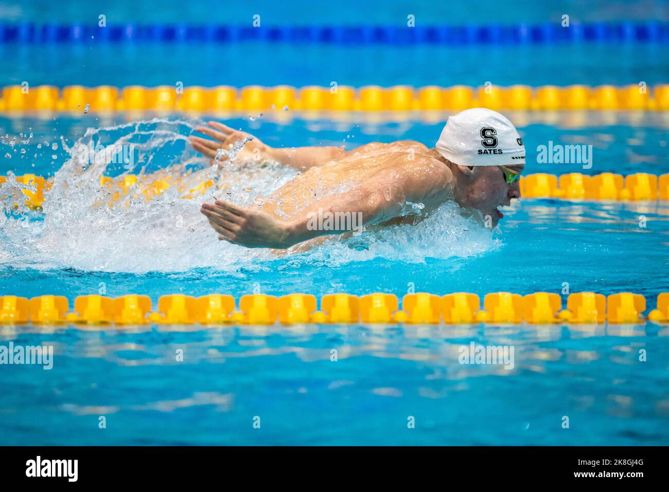 Berlin, Germany. 23rd Oct, 2022. Swimming: World Cup, Decisions, 400m ...