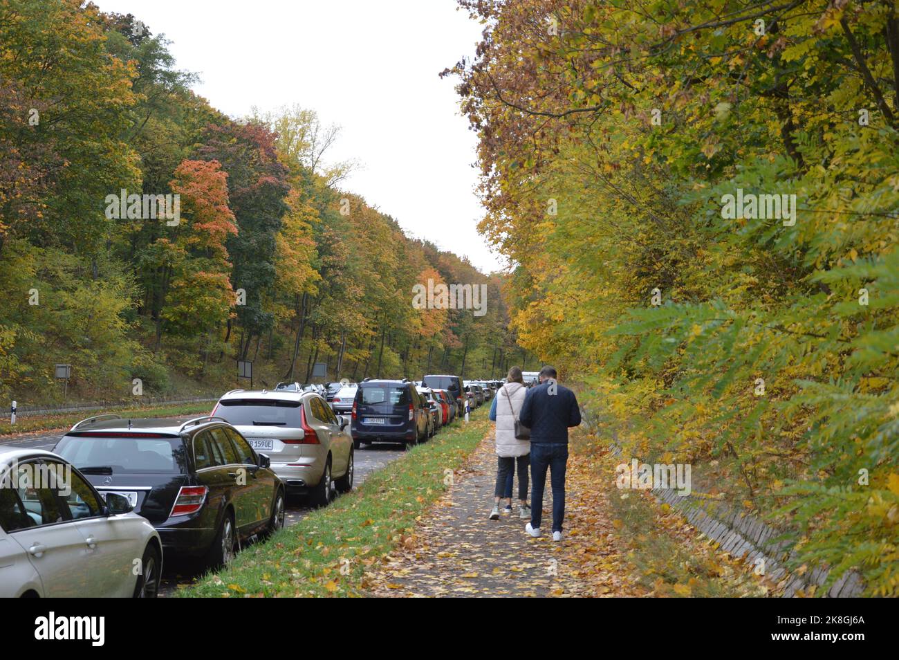 Berlin, Germany - October 23, 2022 - Autumn at Koenigstrasse in Wannsee ...