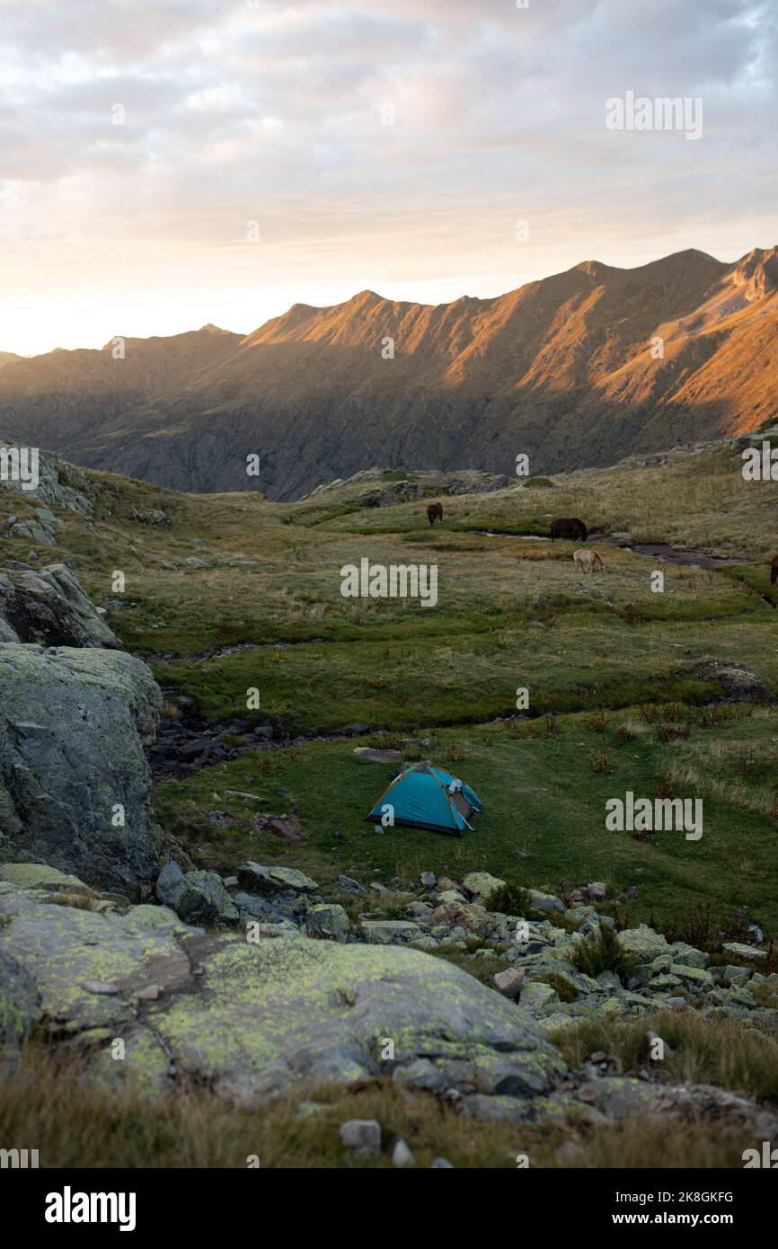 High angle blue tent installed in grassy valley near sunlit mountain ...