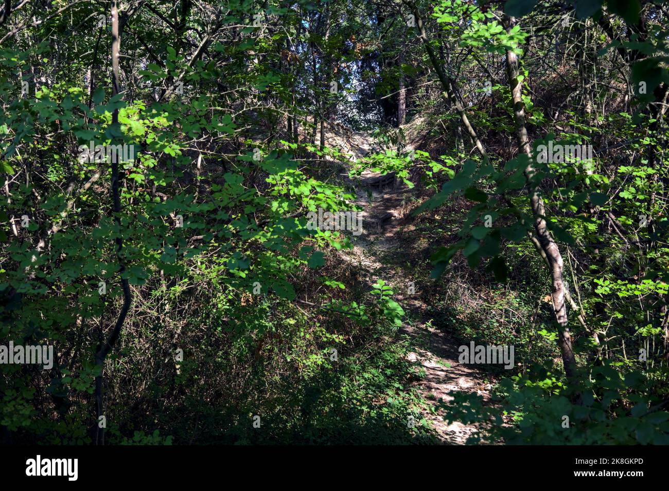 Hike on the embankment hi-res stock photography and images - Alamy