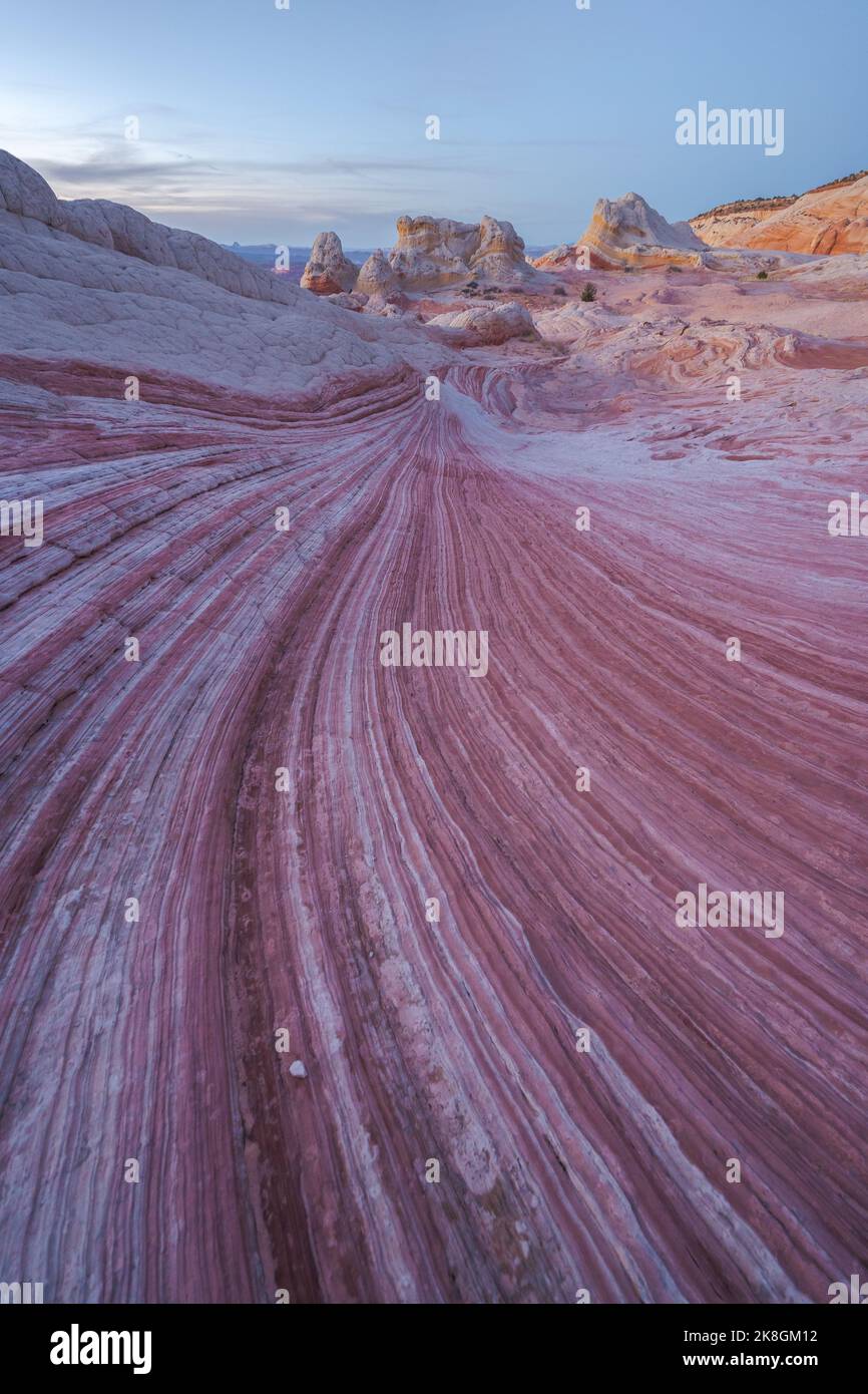 Perspective view of lined aged stone surface in White Pocket deep with ...