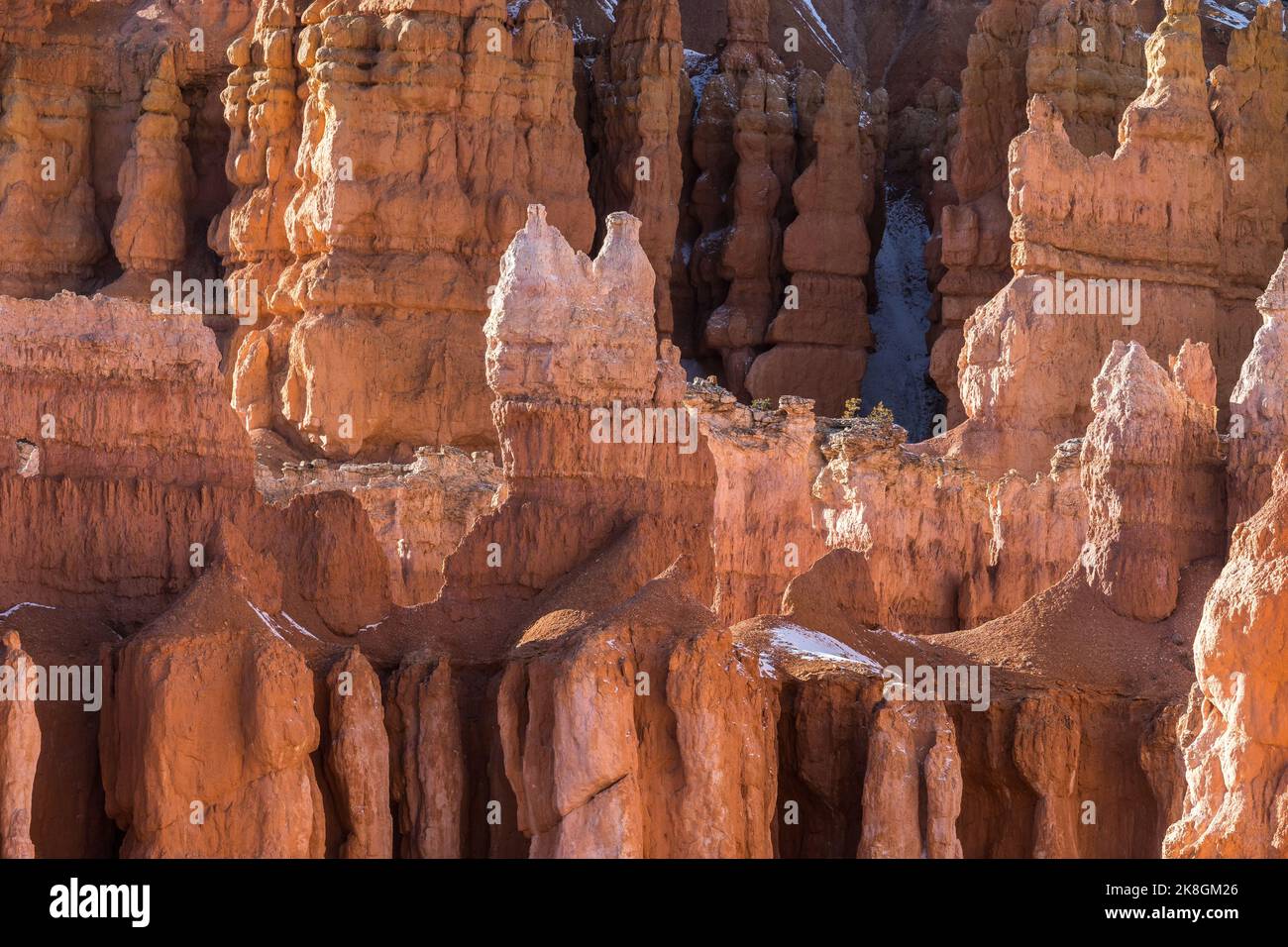Picturesque view of rough rocky formations with uneven surface in Bryce ...