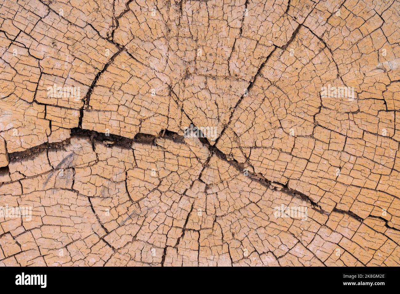 Full frame textured background of rough uneven surface of brown cracked ...