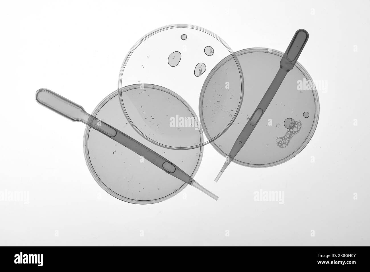 Petri dish Black and White Stock Photos & Images - Alamy