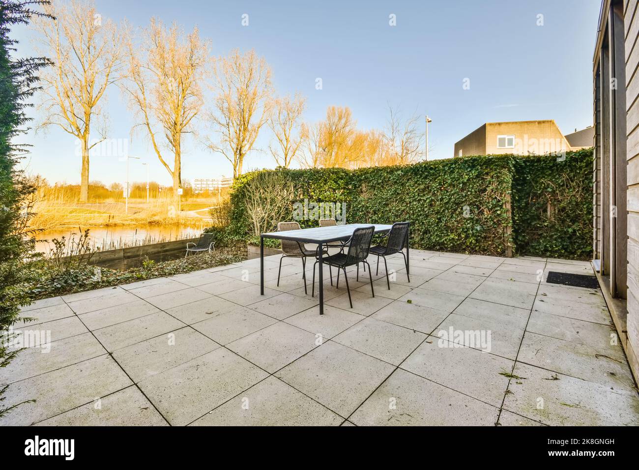 Backyard with bushes against landscape with trees growing on meadow in ...