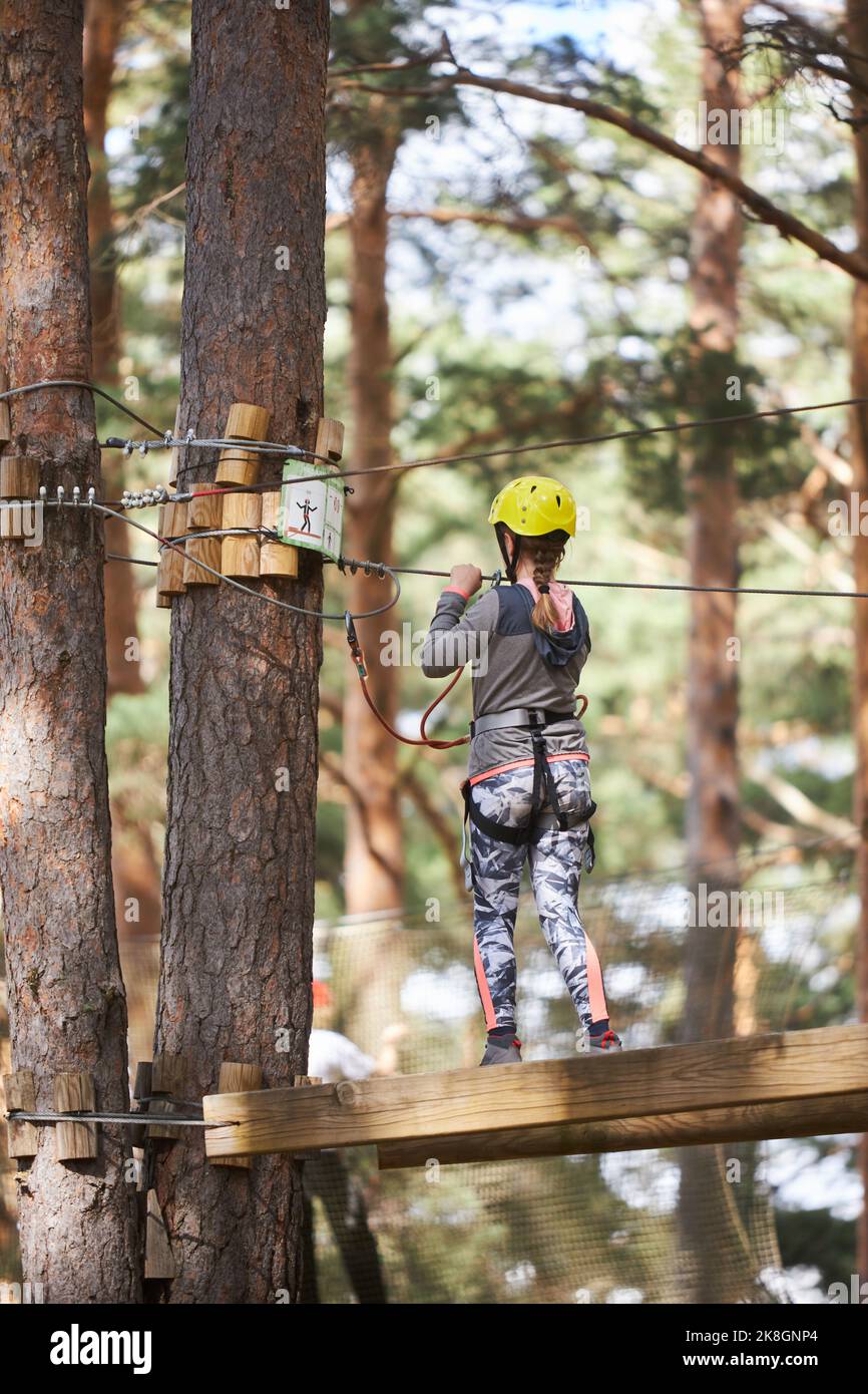 Child standing on platform on coniferous tree while exploring obstacle ...