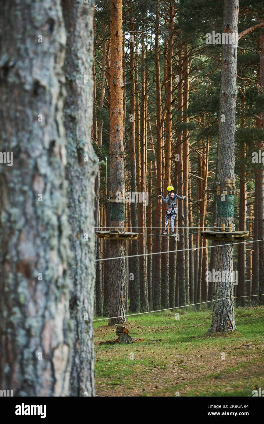 Child standing on platform on coniferous tree while exploring obstacle ...