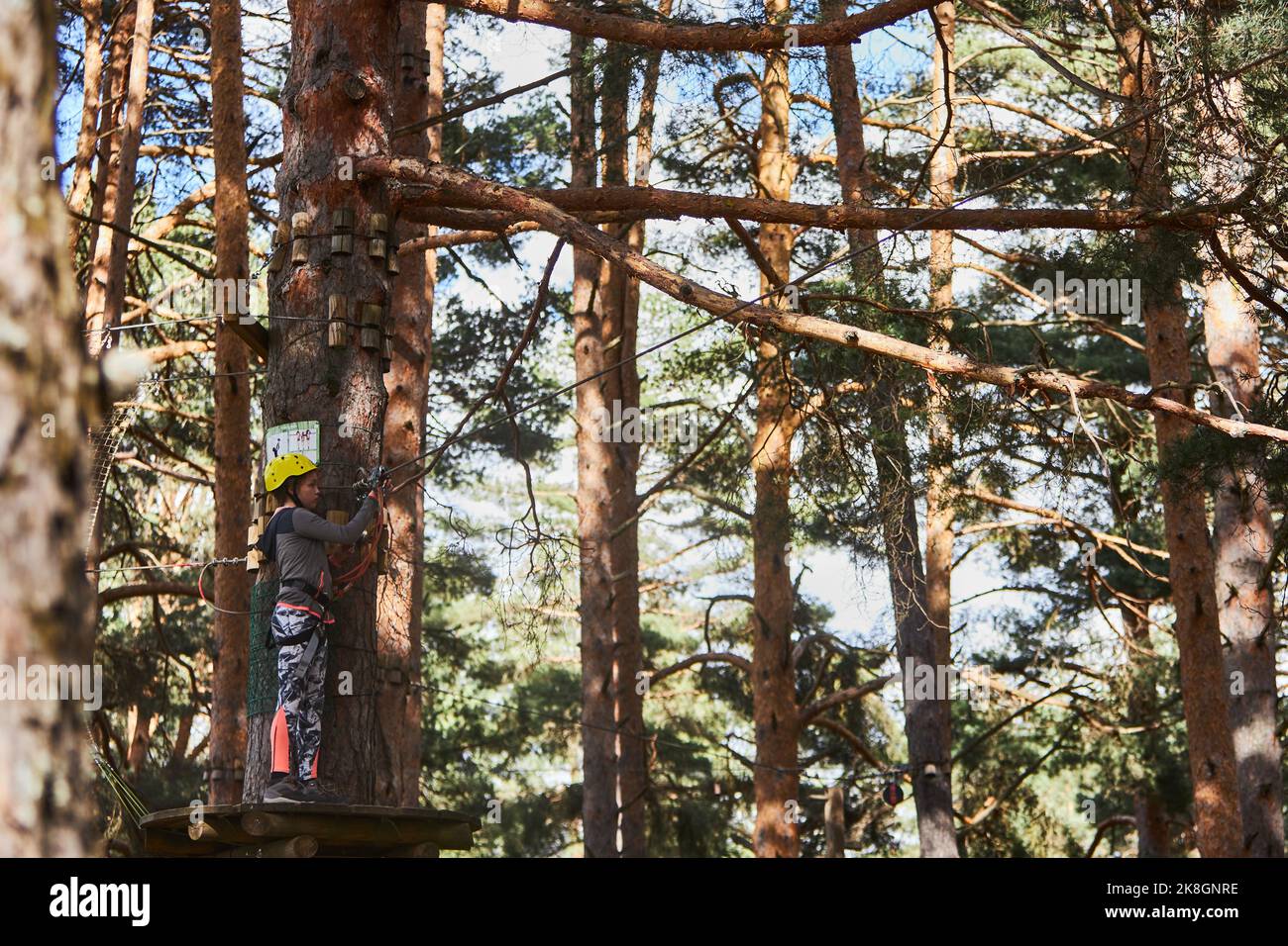 Child standing on platform on coniferous tree while exploring obstacle ...