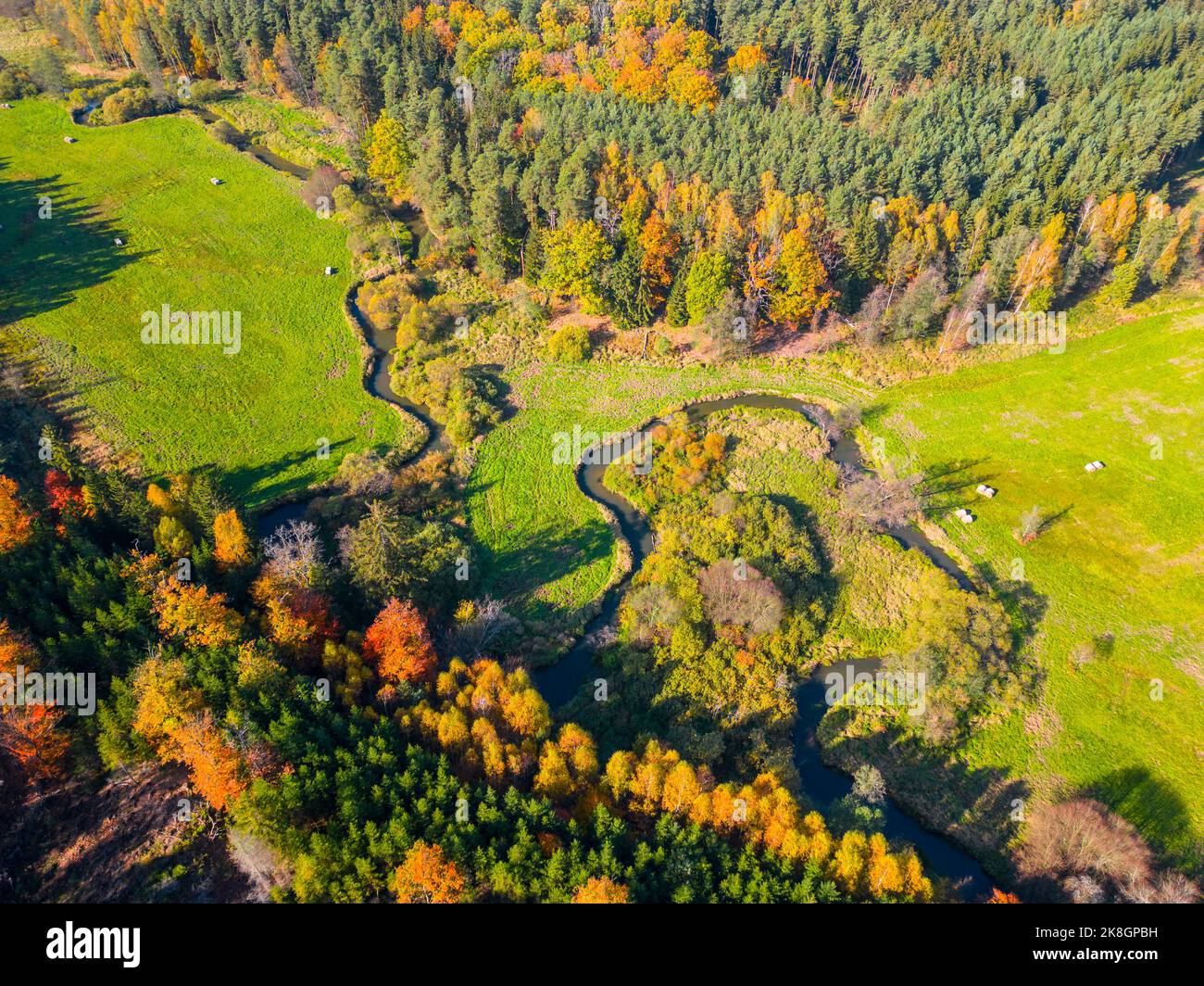 Yellow snake from above hi-res stock photography and images - Alamy