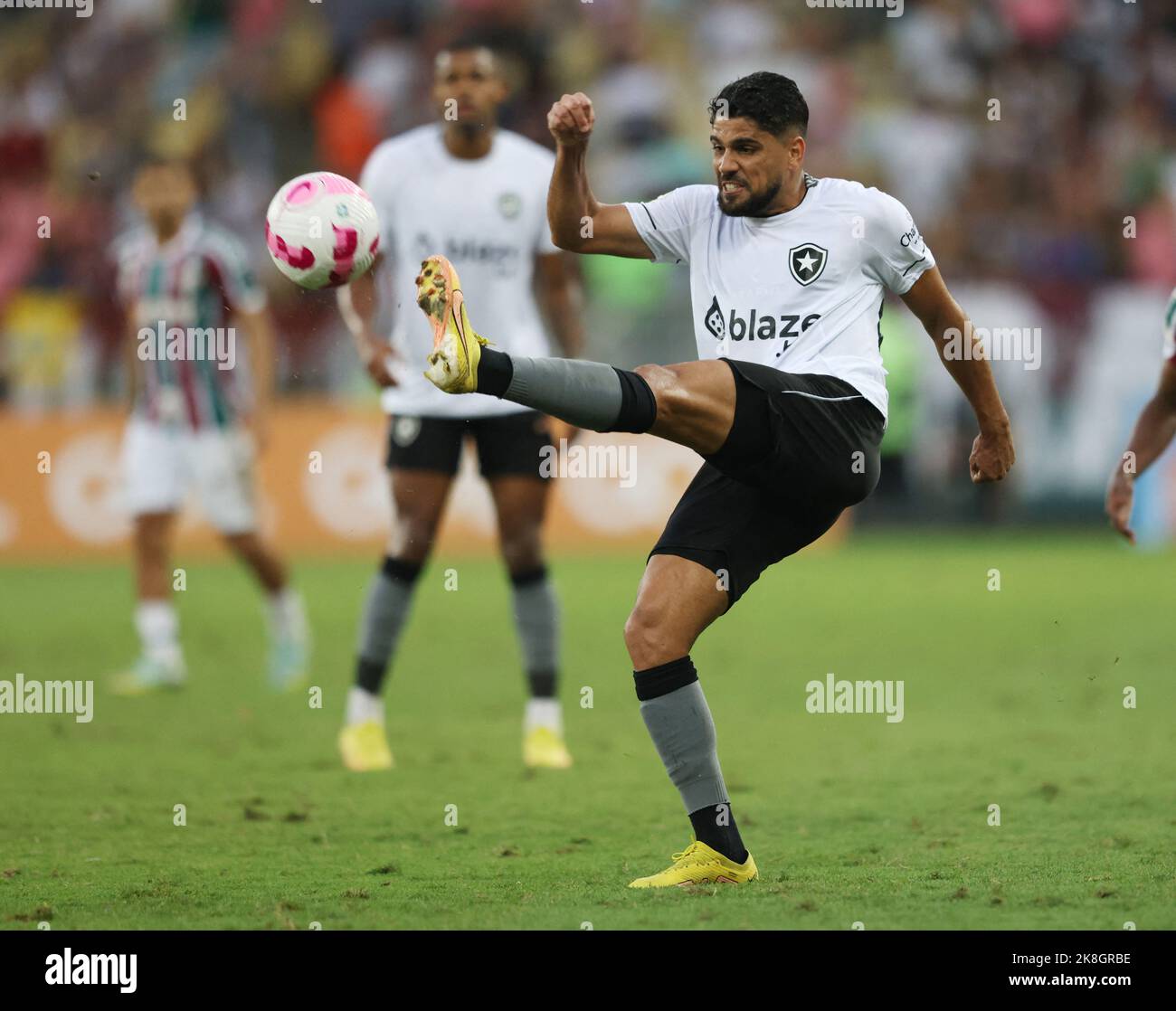 Daniel borges hi-res stock photography and images - Alamy