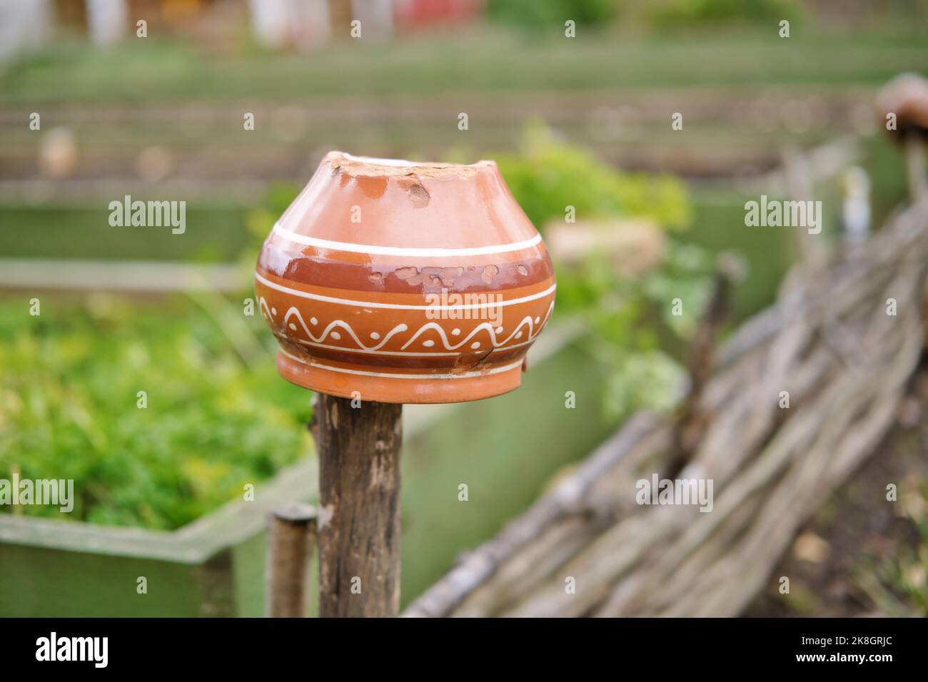 Vintage clay pot on the wicker fence. Traditional ceramic pot on the ...