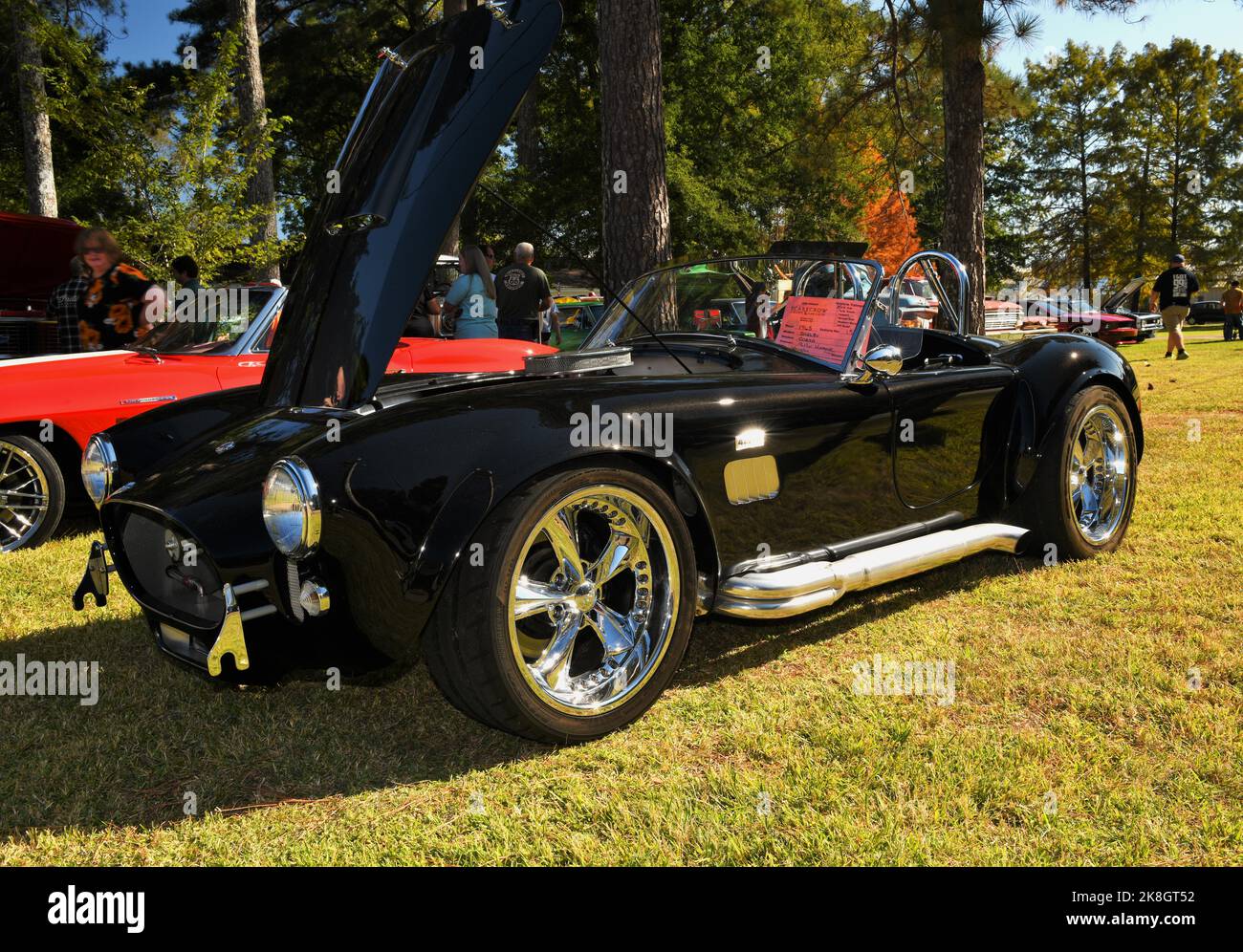 1965 Shelby Cobra Stock Photo - Alamy