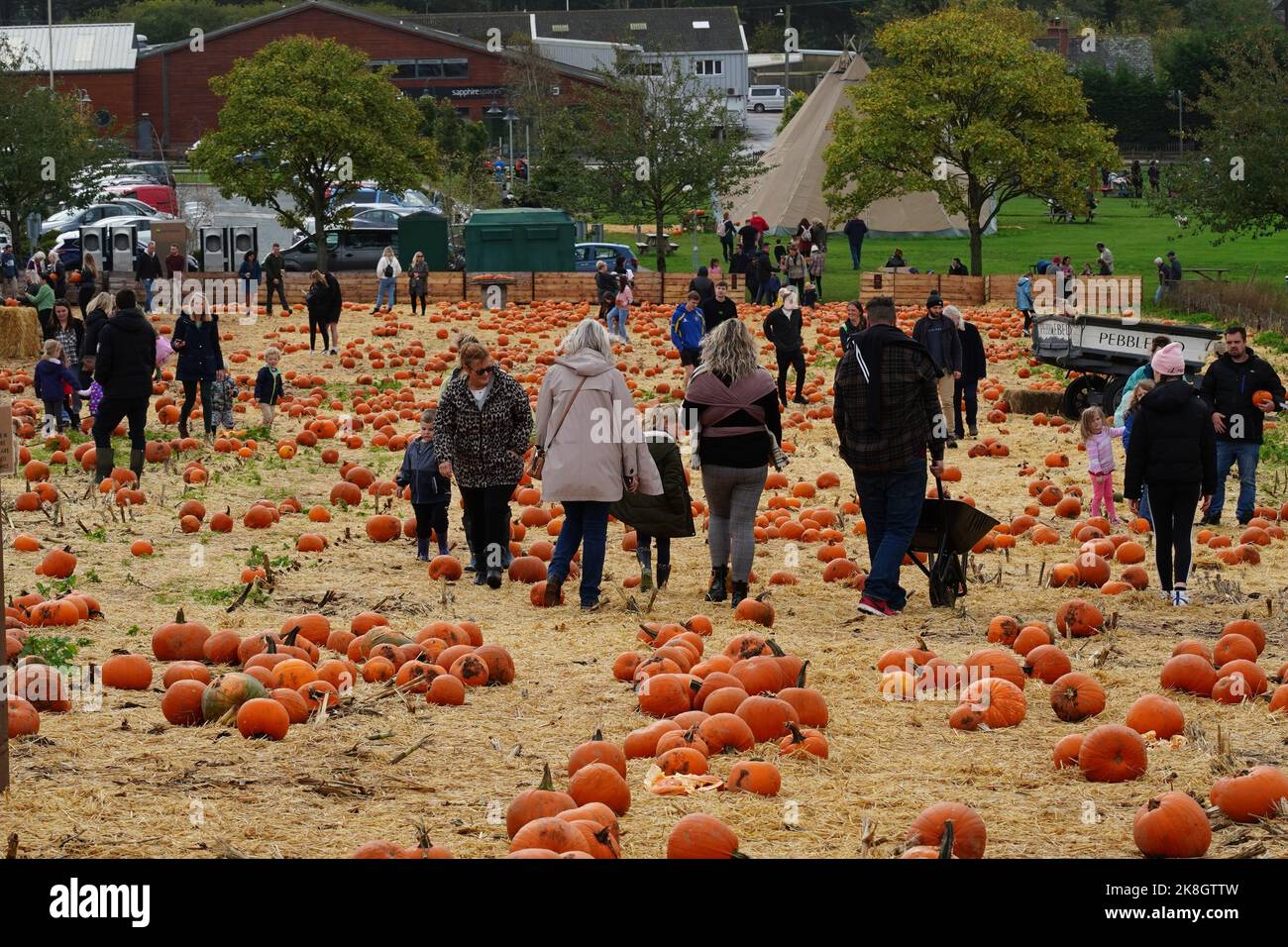 Exeter, UK - October 2022: Families visit a pick your own farm to pick ...