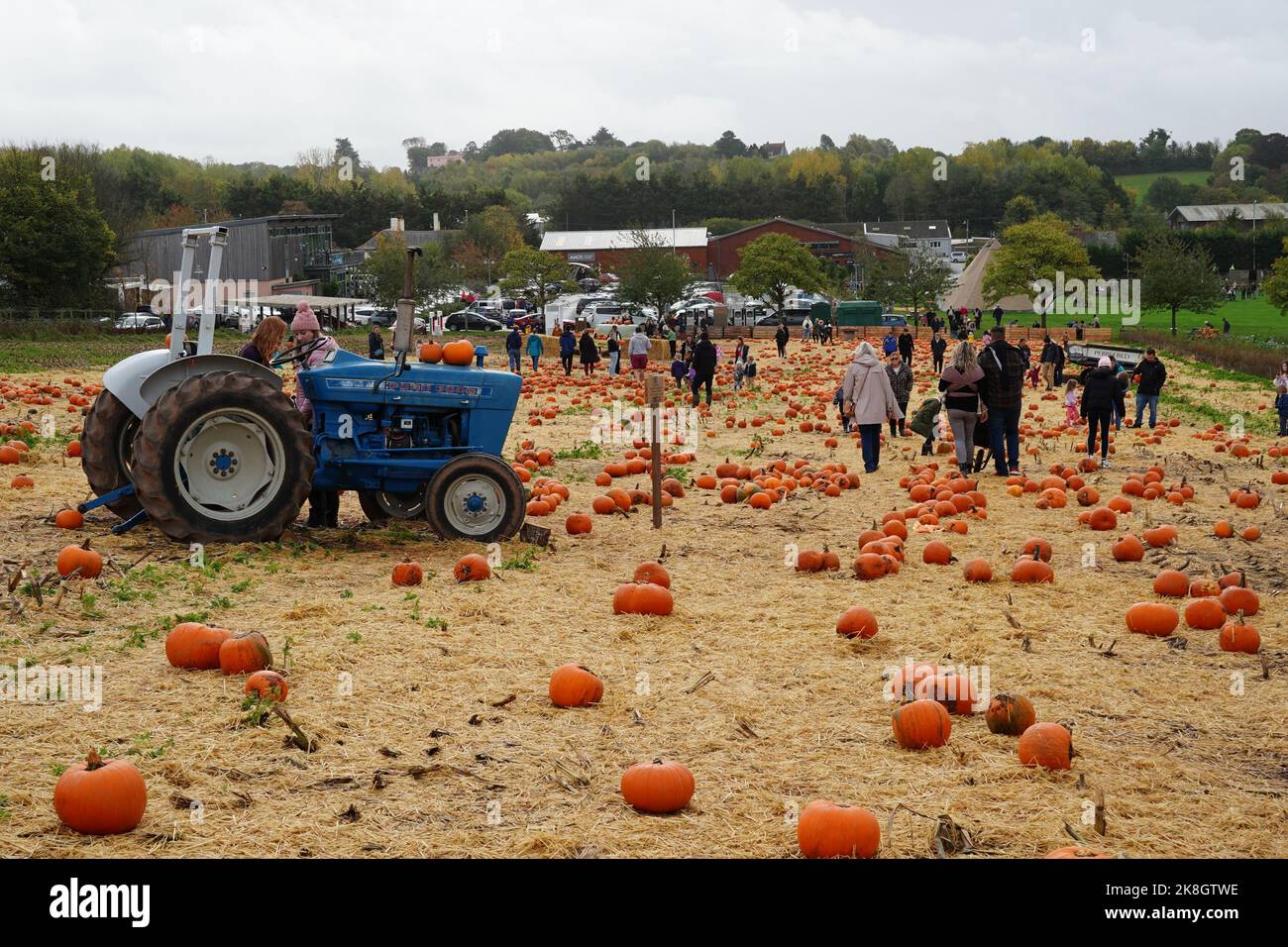 Exeter, UK - October 2022: Families visit a pick your own farm to pick ...