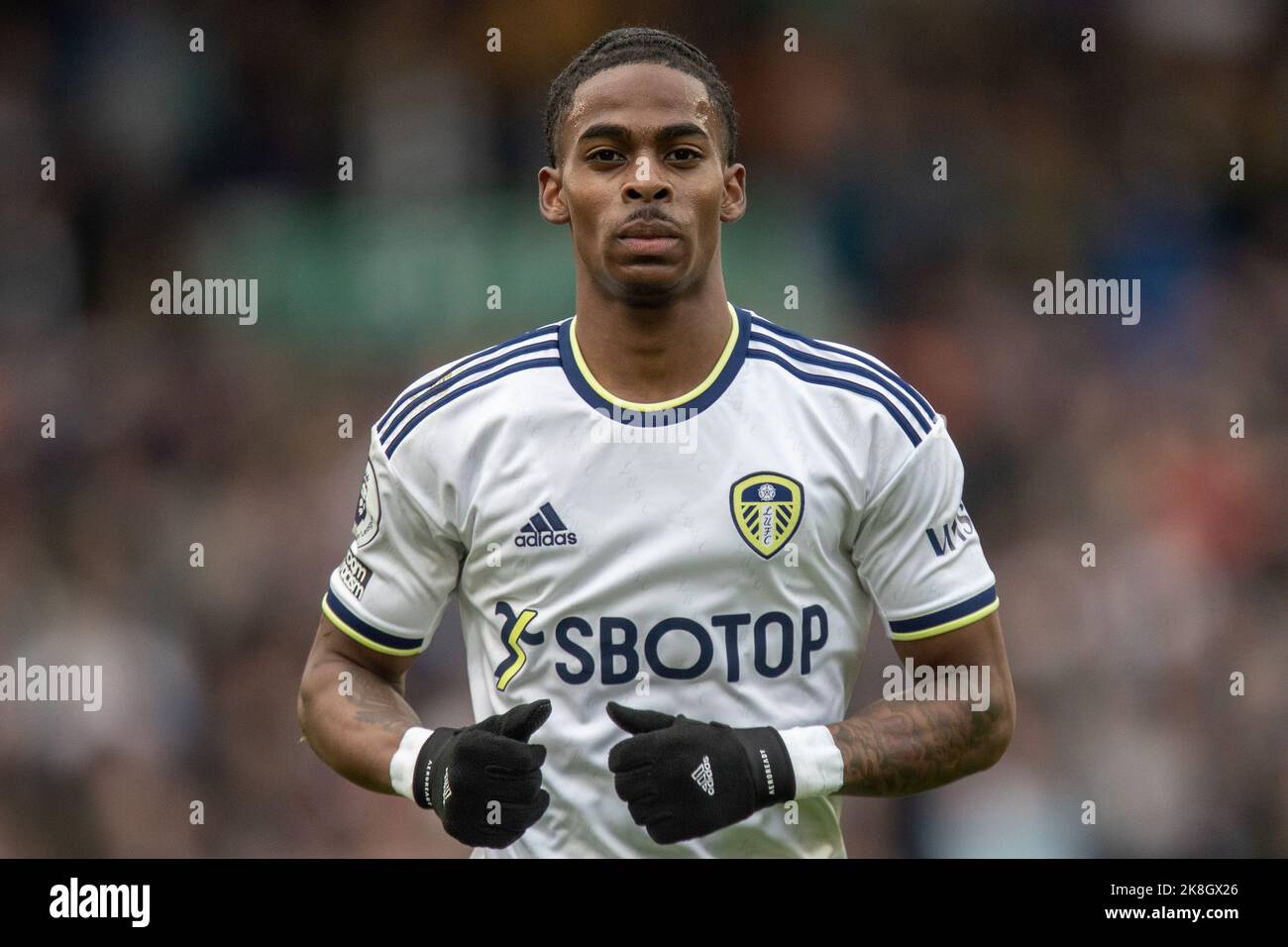 Crysencio Summerville #10 of Leeds United during the Premier League ...