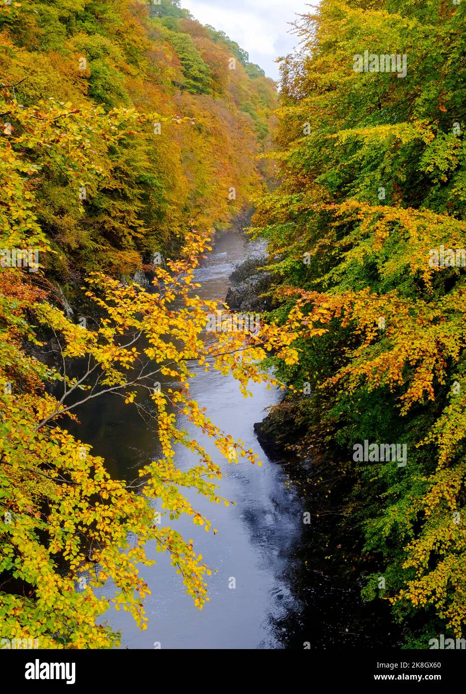 autumn colours in a gorge in Scotland Stock Photo - Alamy