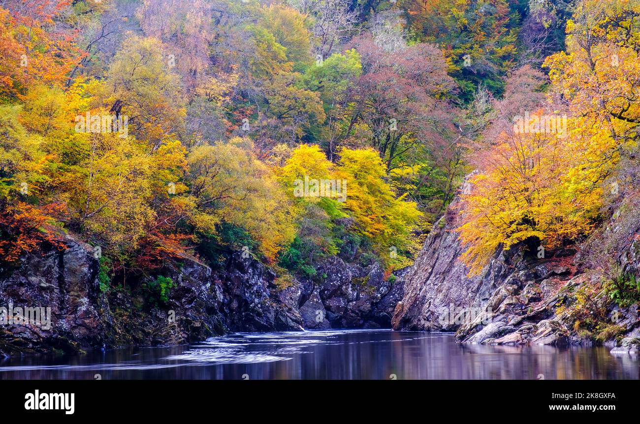 Mist woods scotland hi-res stock photography and images - Alamy