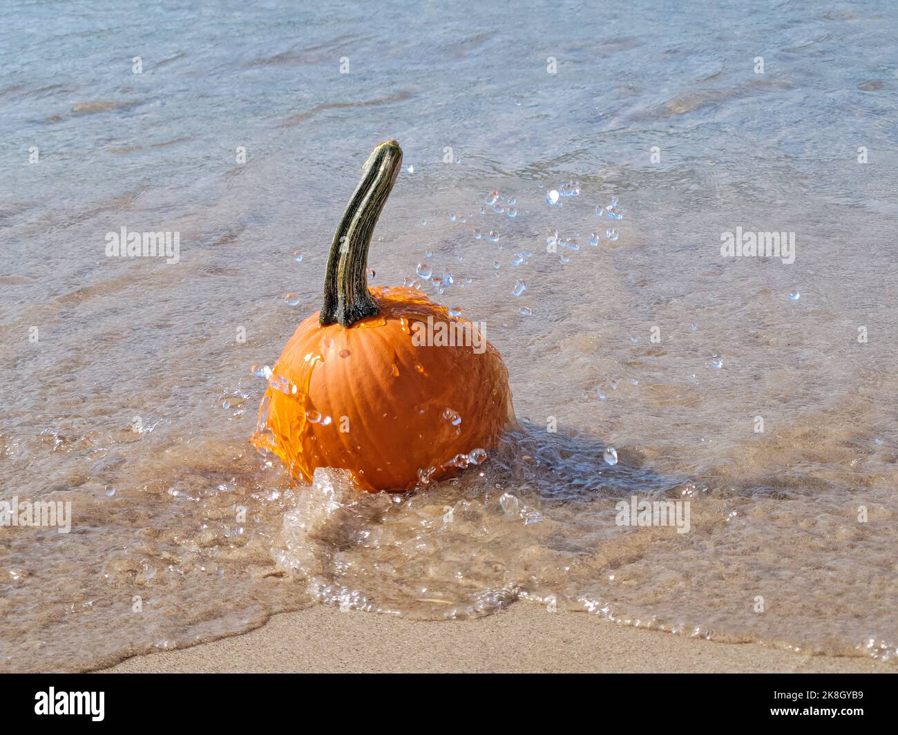 Orange autumn pumpkin in water splash on the beach Stock Photo - Alamy