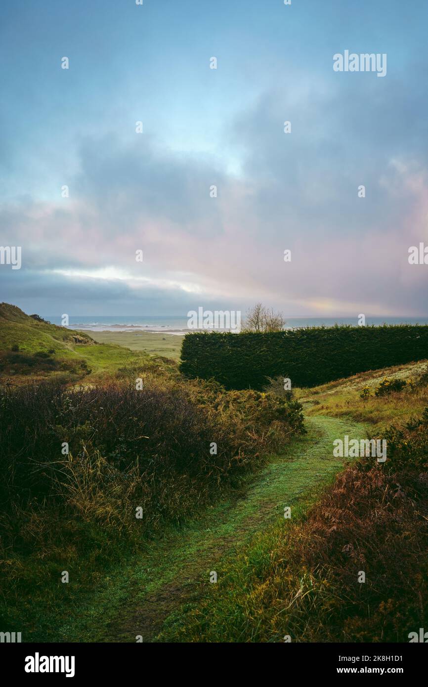 A beautiful path that leads through sand dunes in western Jersey ...