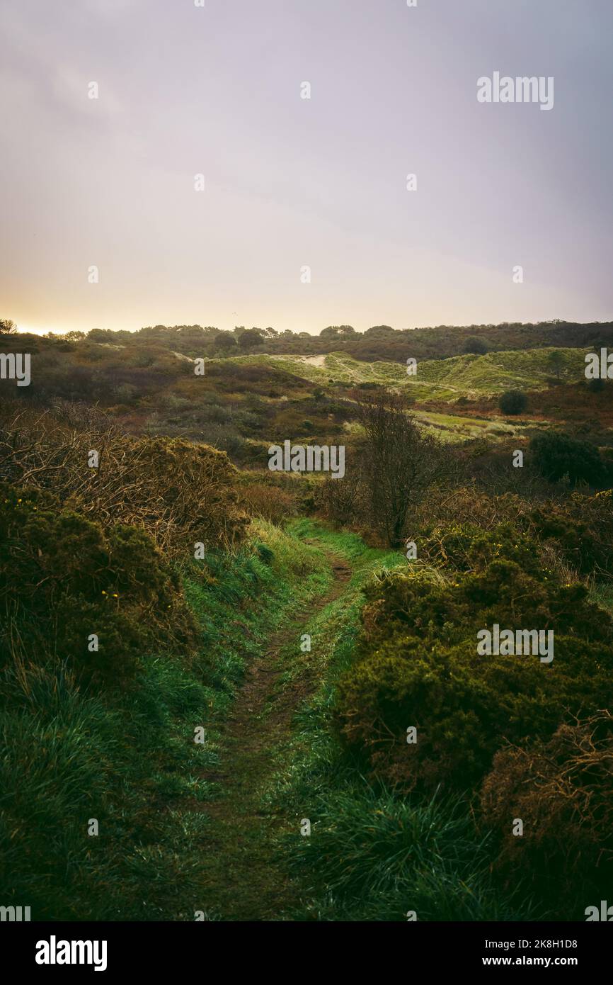 A beautiful path that leads through sand dunes in western Jersey ...