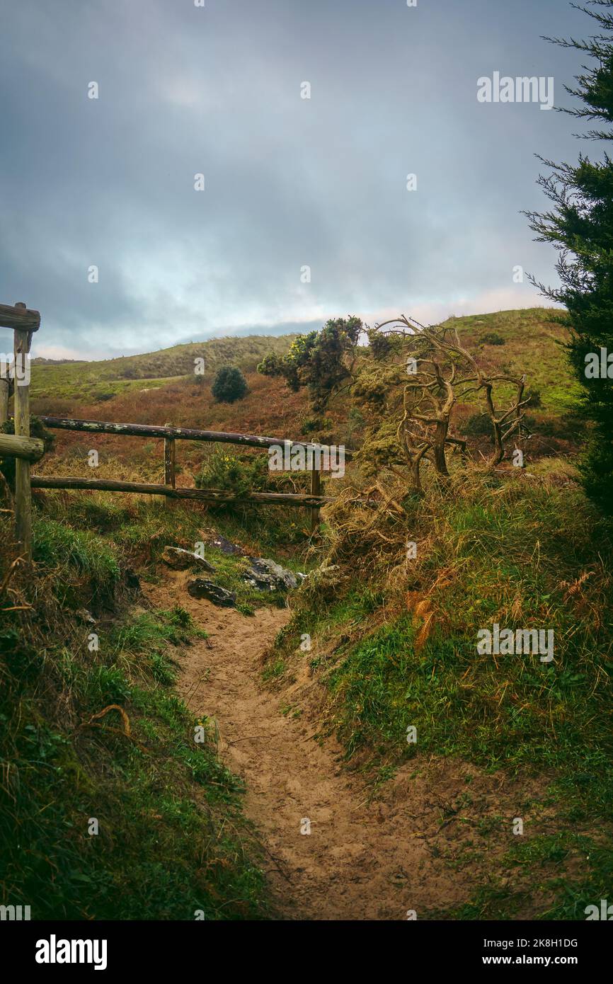 A beautiful path that leads through sand dunes in western Jersey ...