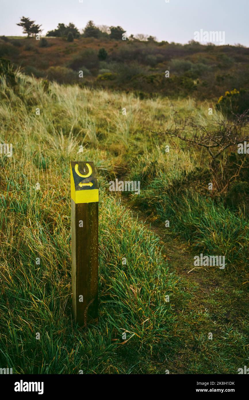 A beautiful path that leads through sand dunes in western Jersey ...