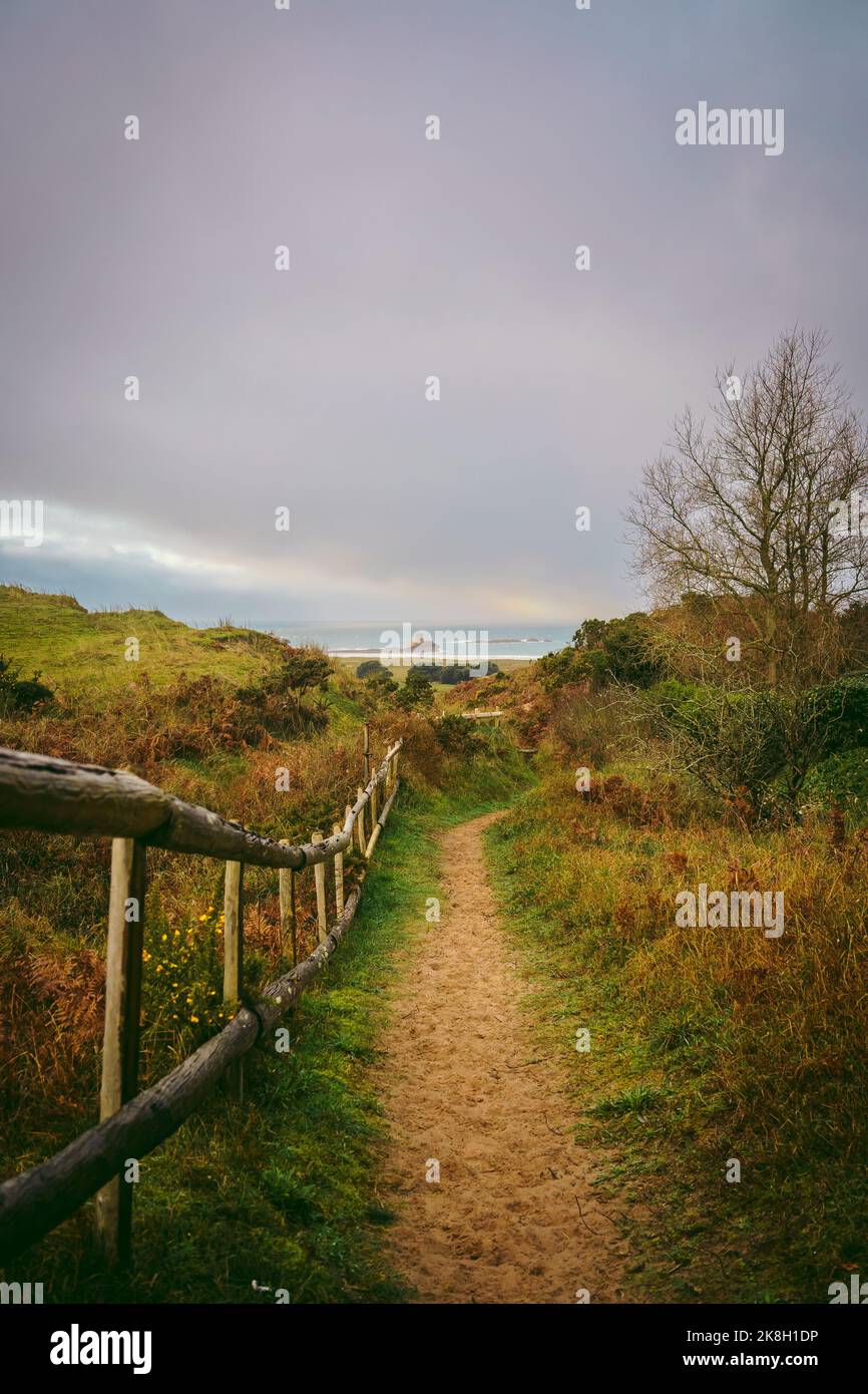 A beautiful path that leads through sand dunes in western Jersey ...
