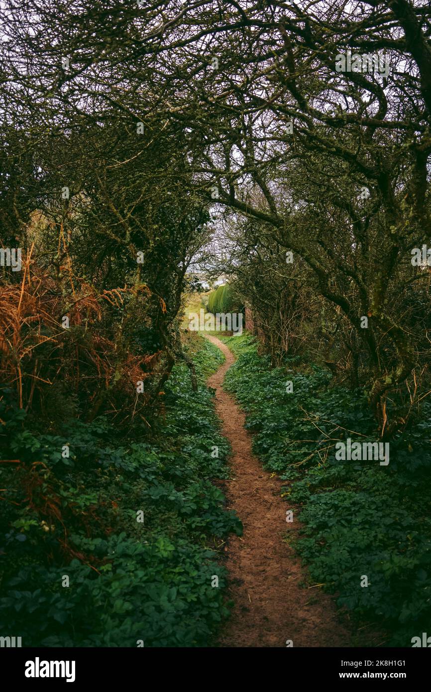 A beautiful path that leads through sand dunes in western Jersey ...
