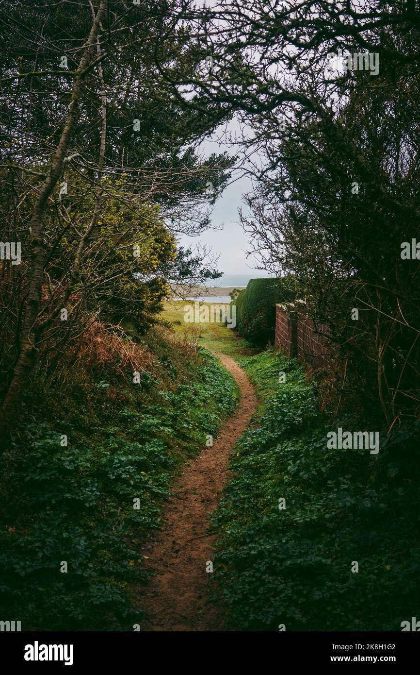 A beautiful path that leads through sand dunes in western Jersey ...