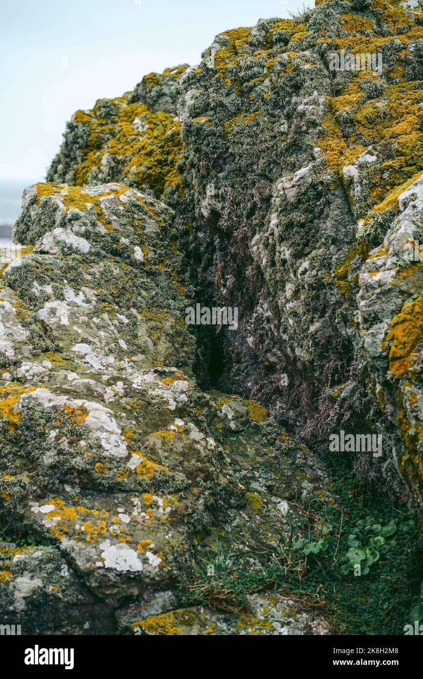 Beautiful nature views of coastal cliffs and beaches on Jersey Island ...