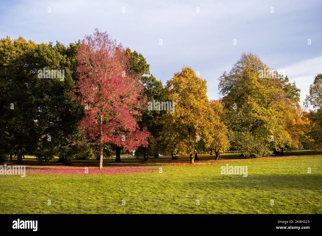 Park in autumn colors hi-res stock photography and images - Alamy