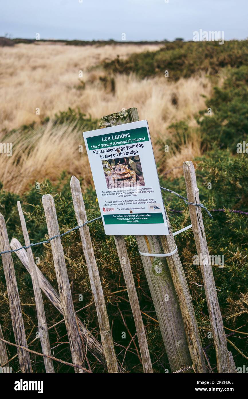 Jersey toad hi-res stock photography and images - Alamy
