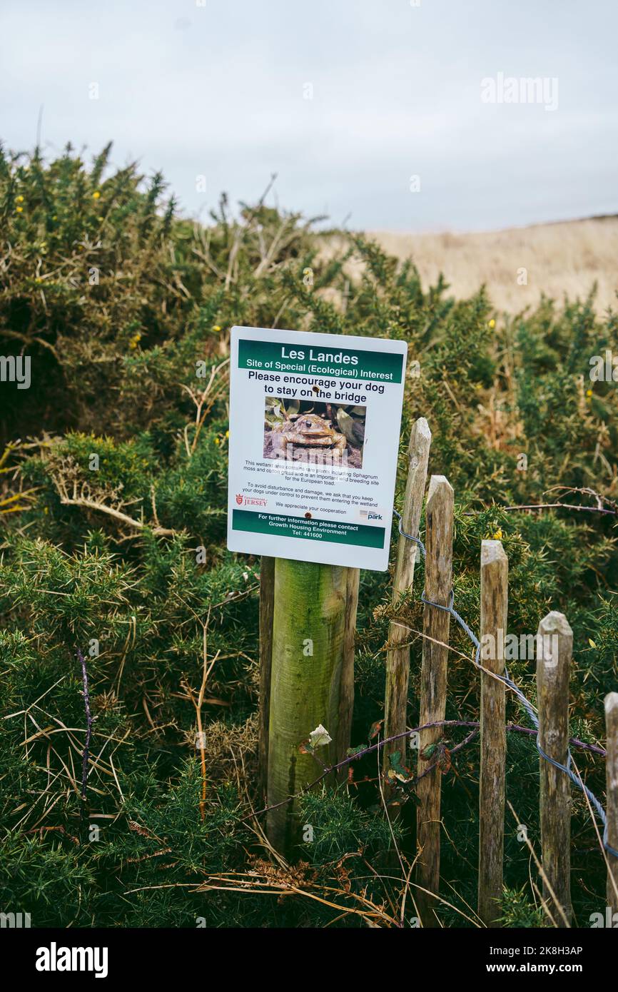 Jersey toad hi-res stock photography and images - Alamy