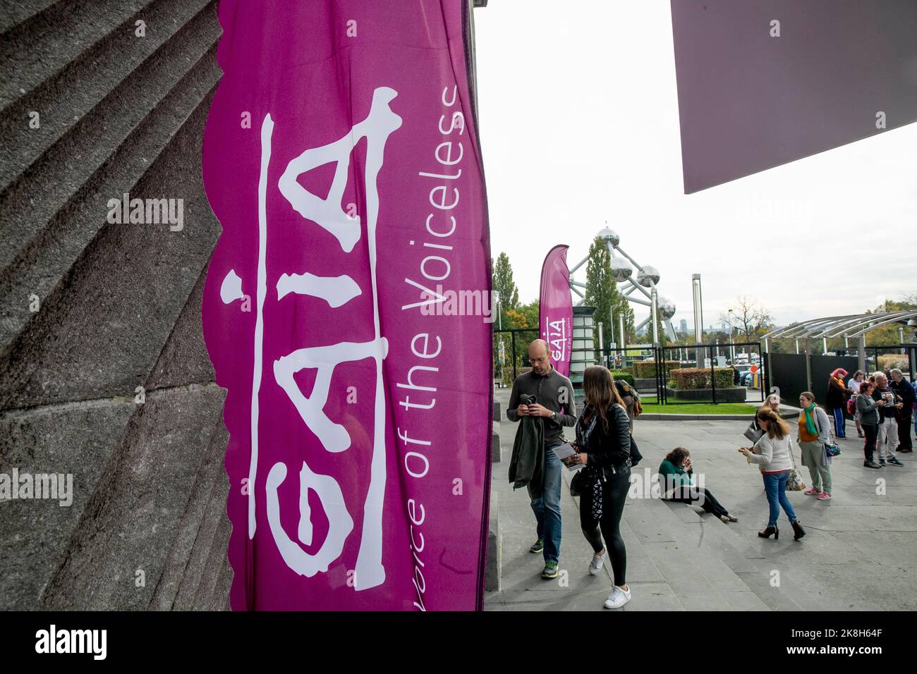 Illustration picture shows the 30th anniversary of animal welfare ...