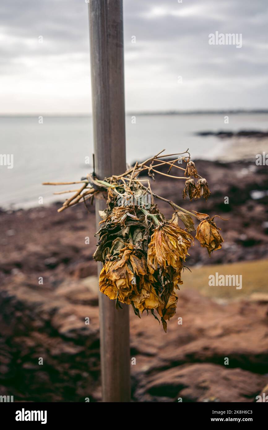 Beautiful nature views of coastal cliffs and beaches on Jersey Island ...