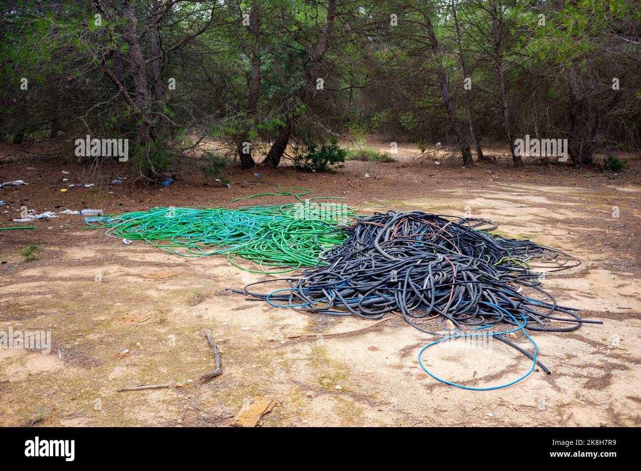 Remains of plastic electrical cables abandoned in a field by thieves ...