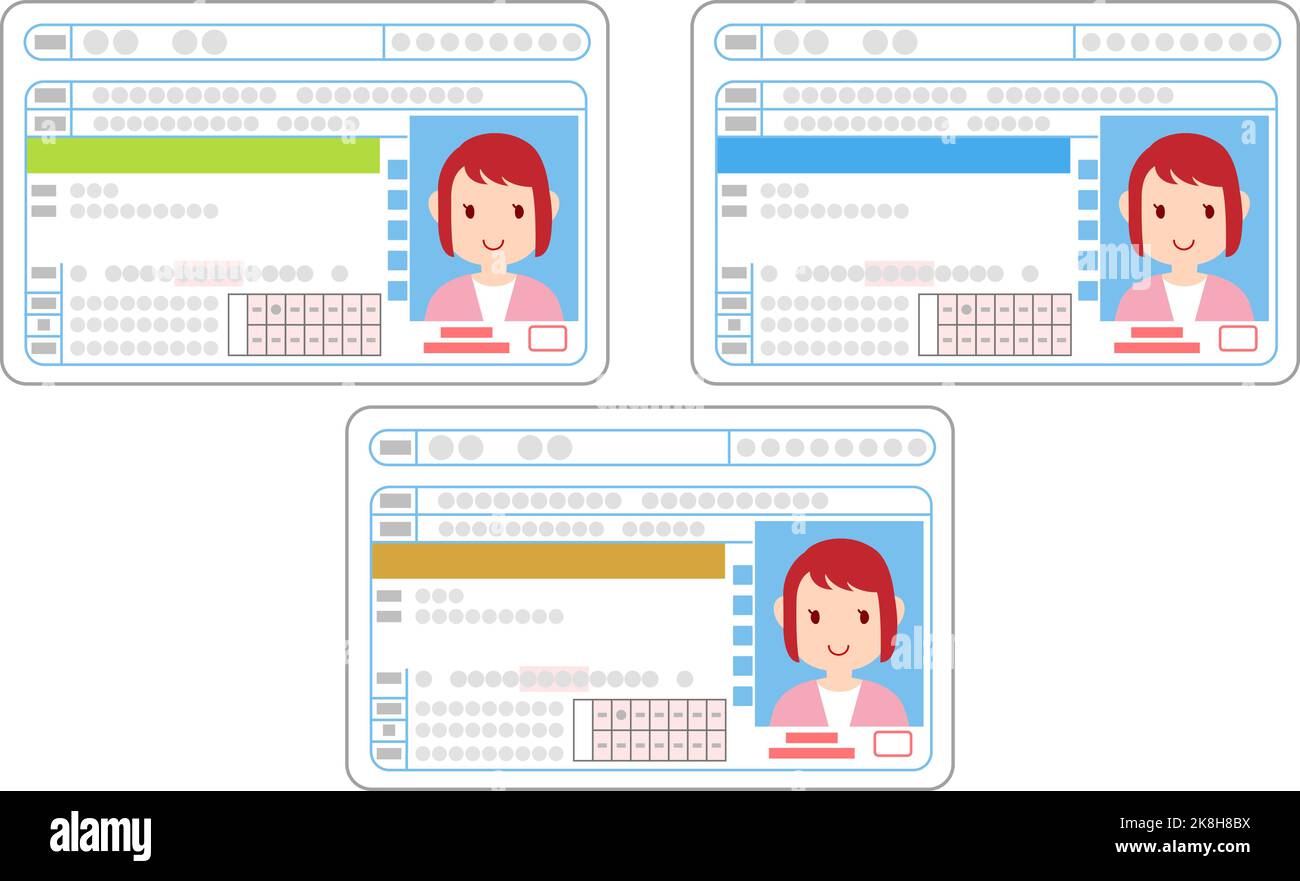 Illustration set of driver's license surface, beginner / general, good ...