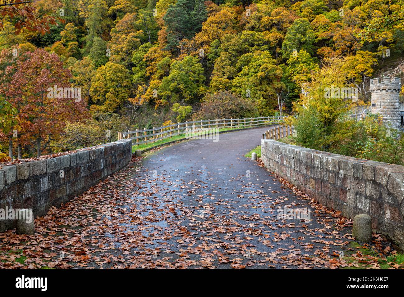 23 October 2022. Moray, Scotland. This is a display of the Autumn ...