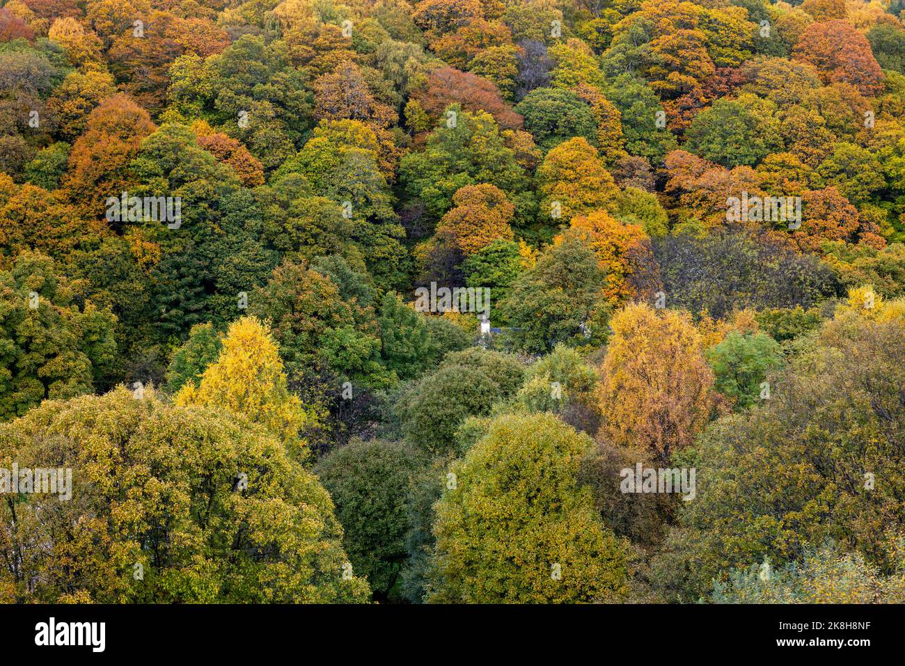 23 October 2022. Moray, Scotland. This is a display of the Autumn ...