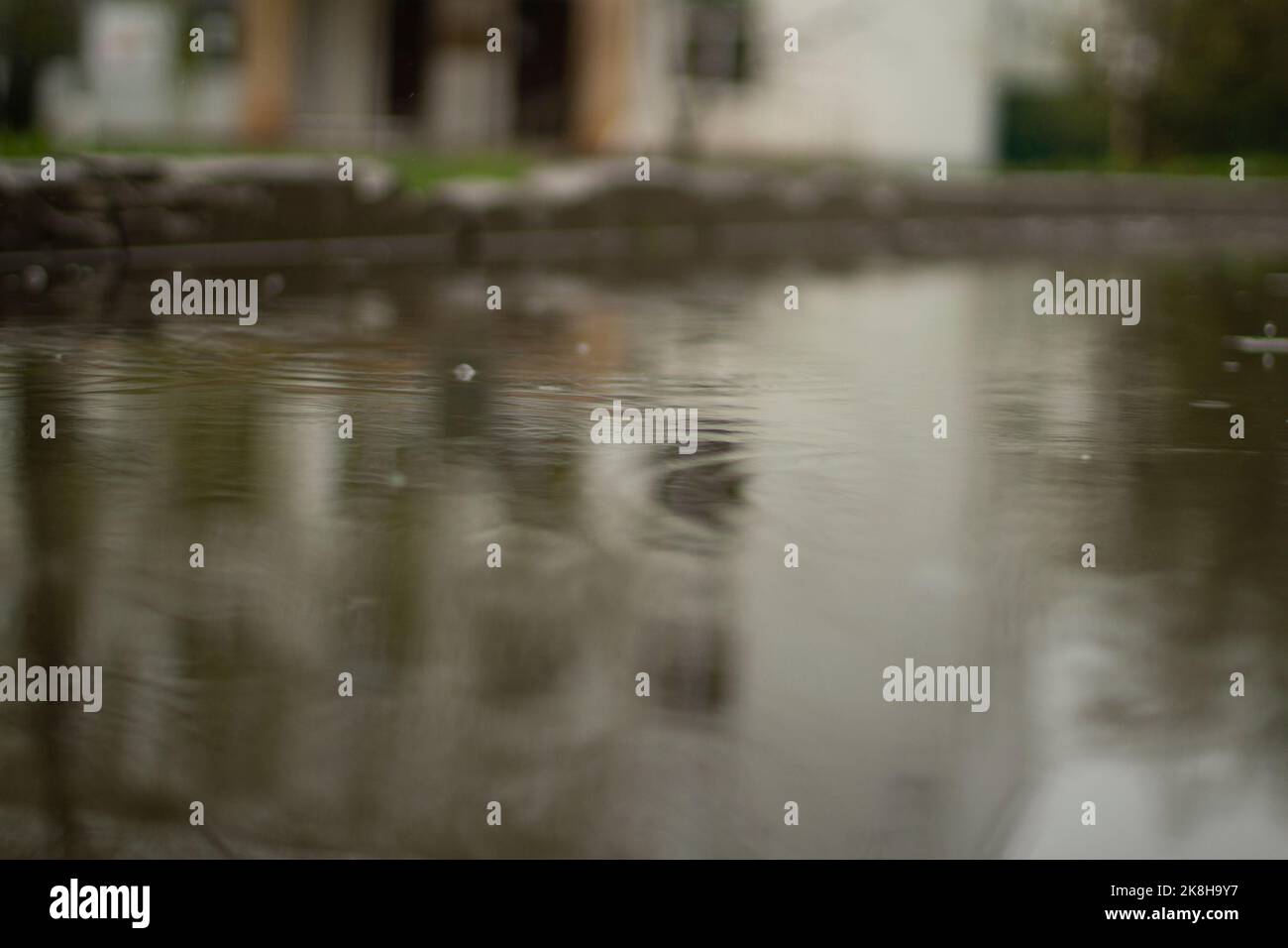 Rain outside. Large puddle in yard. Wet weather. Surface of puddle ...