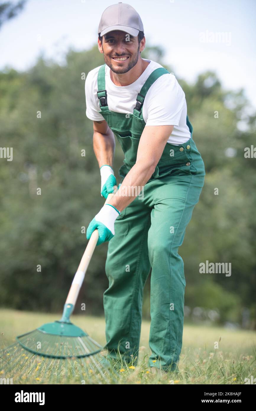Raking grass using rake gardening hi-res stock photography and images ...