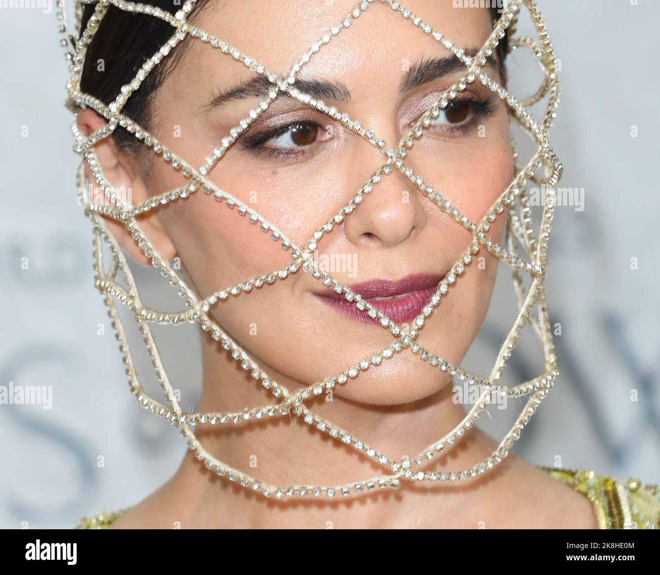 Nazanin Boniadi attends the World premiere of "The Lord Of The Rings ...