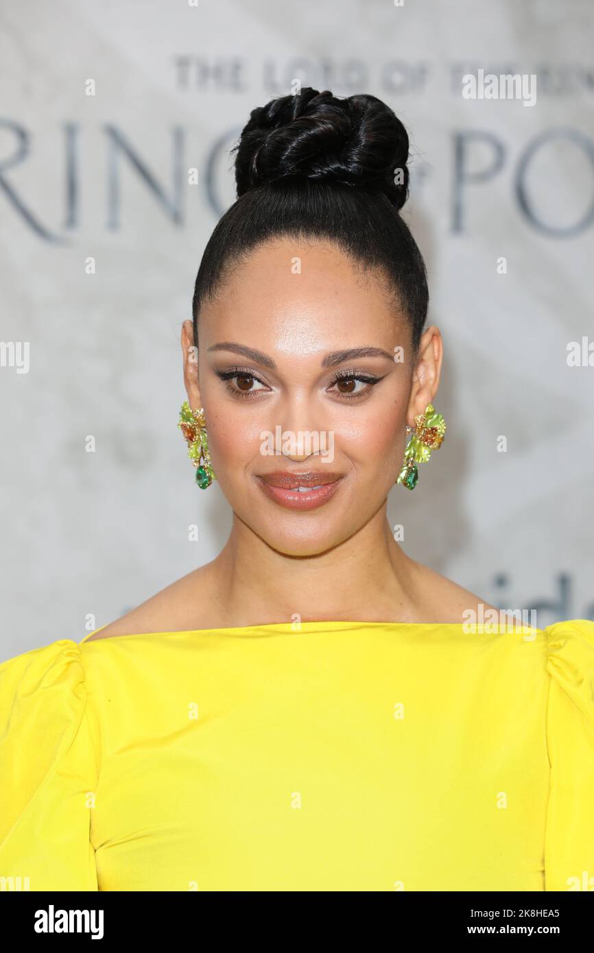 Cynthia Addai-Robbinson attends the World premiere of "The Lord Of The ...