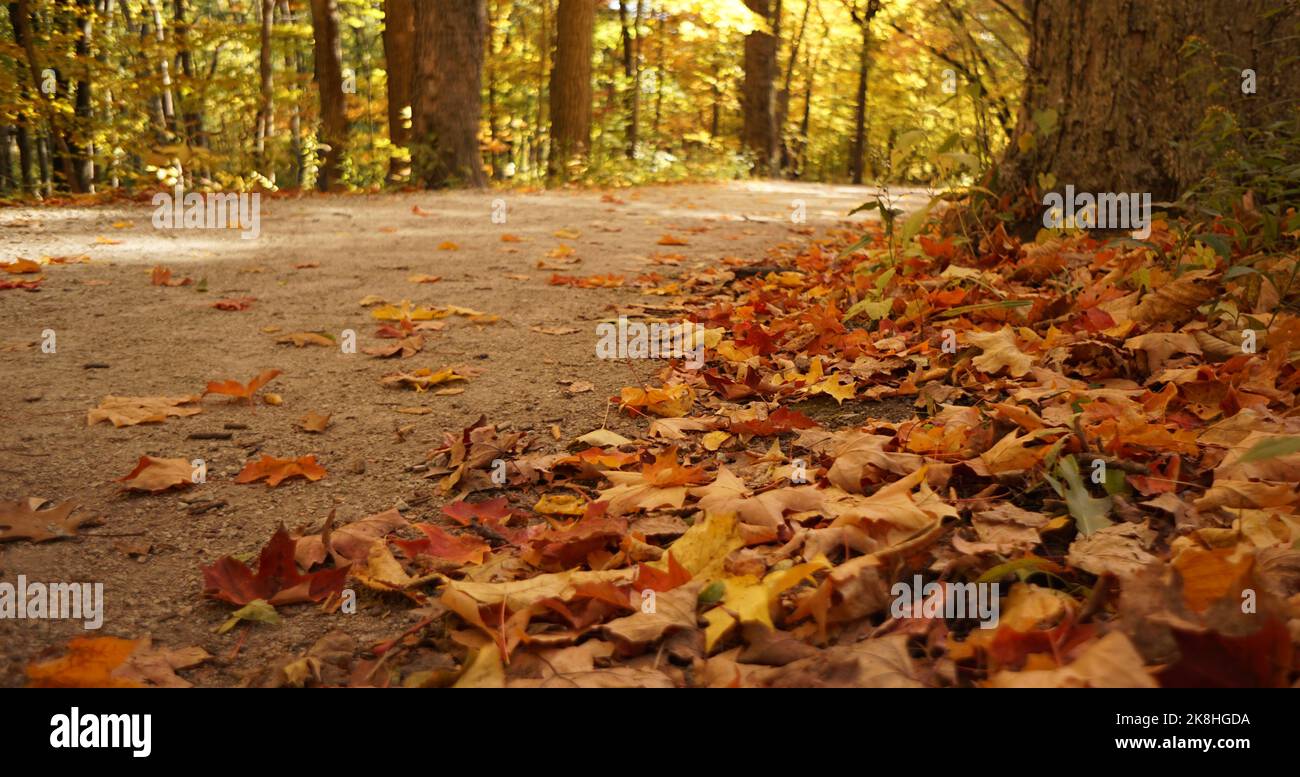 Cook county forest preserve hi-res stock photography and images - Alamy