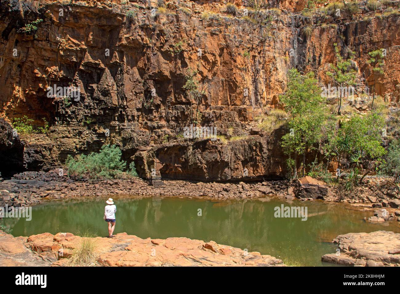 Lily ponds hi-res stock photography and images - Alamy