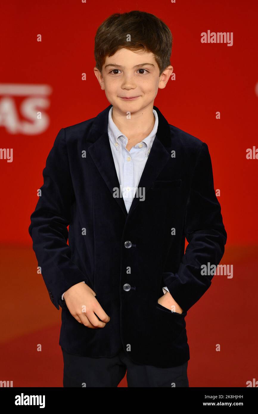 Leone cardaci hi-res stock photography and images - Alamy