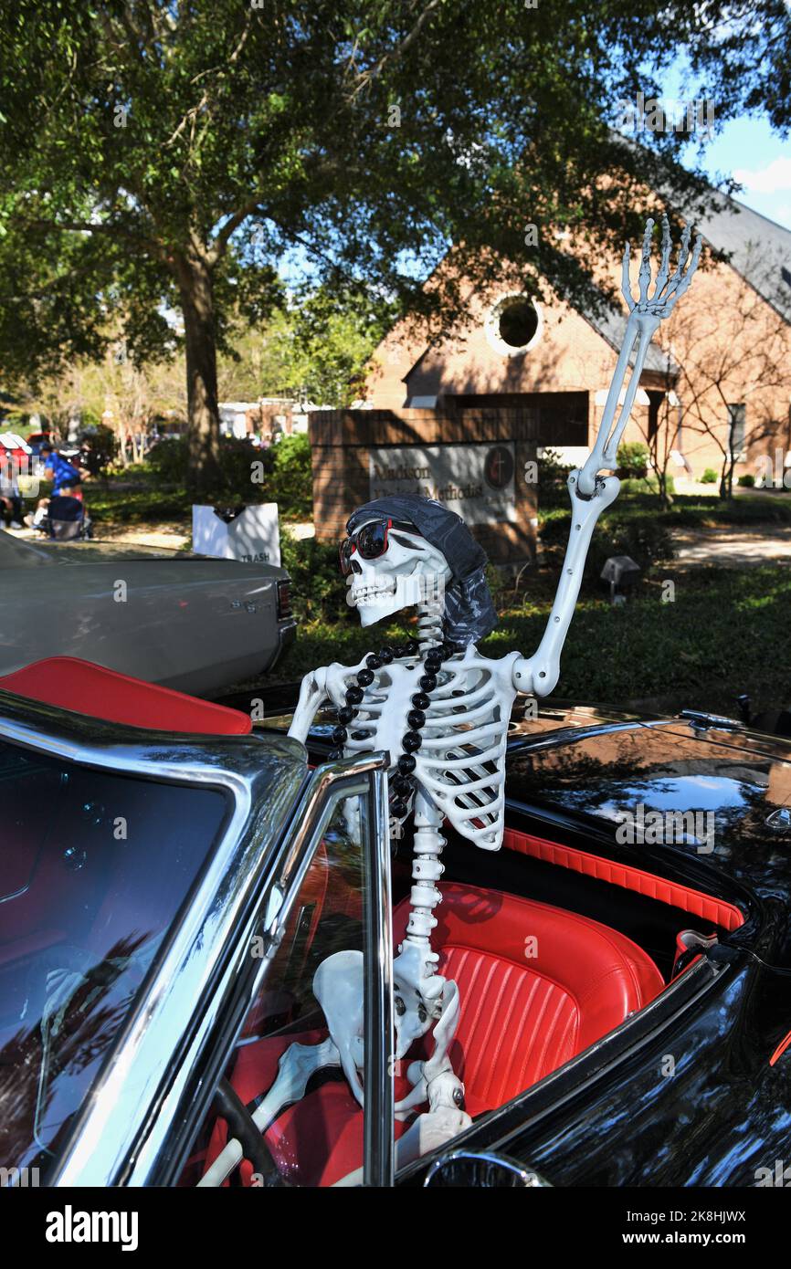 Skeleton wearing glasses hi-res stock photography and images - Alamy