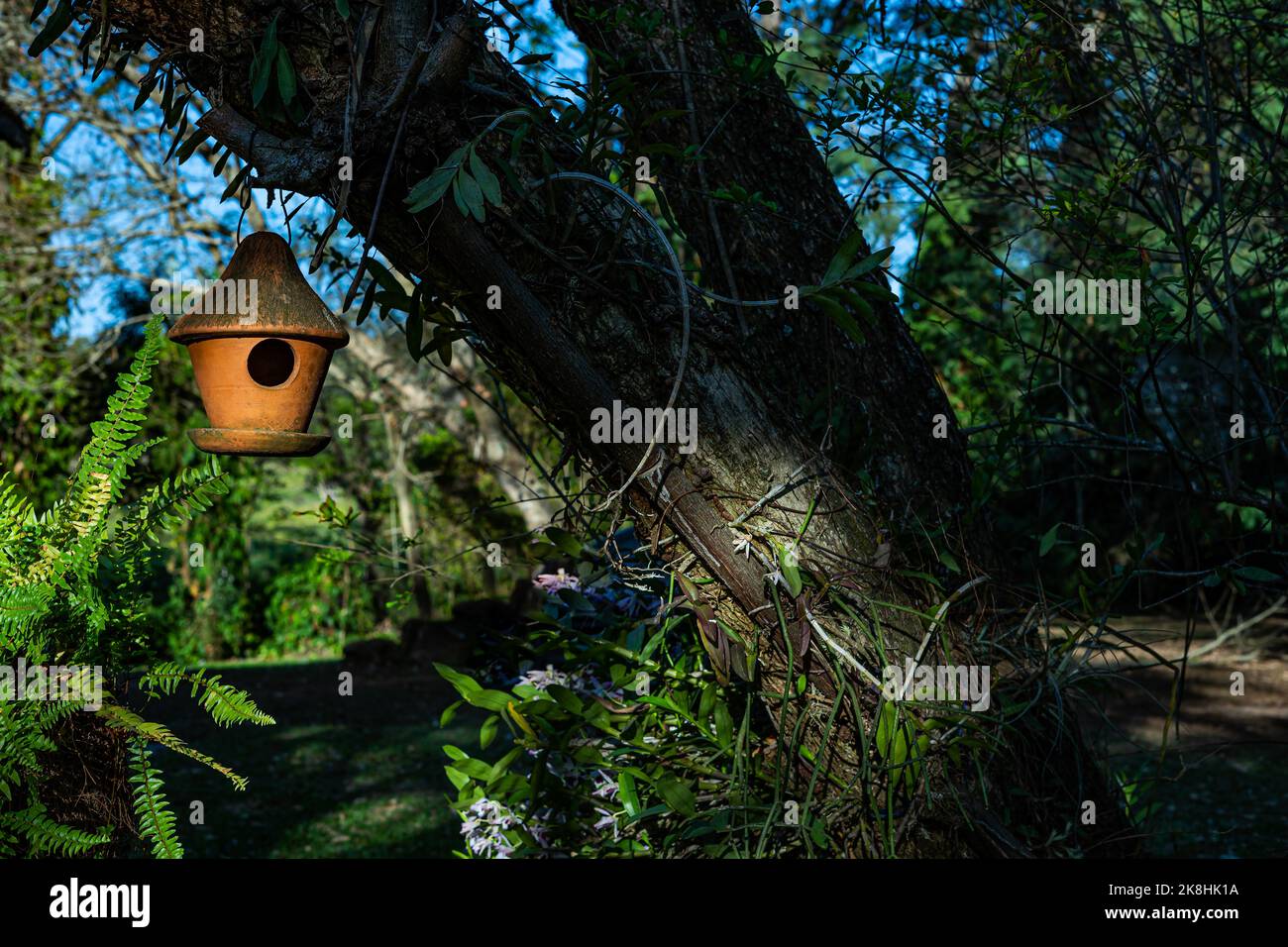 Clay item hi-res stock photography and images - Alamy